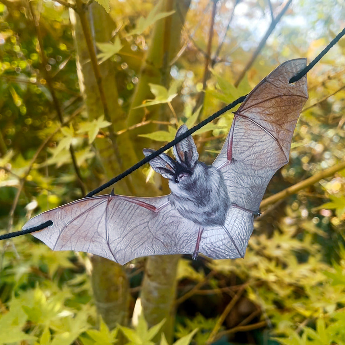 Inspiration - Moth & Myth