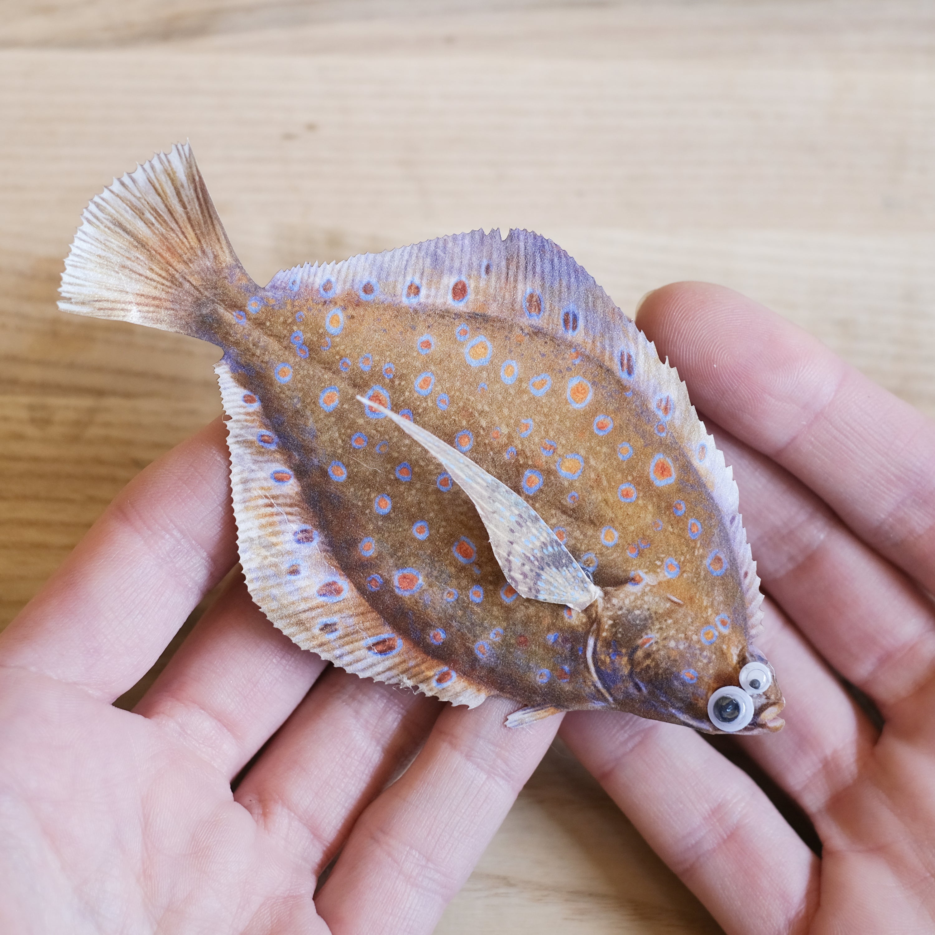 Inspiration - Moth & Myth