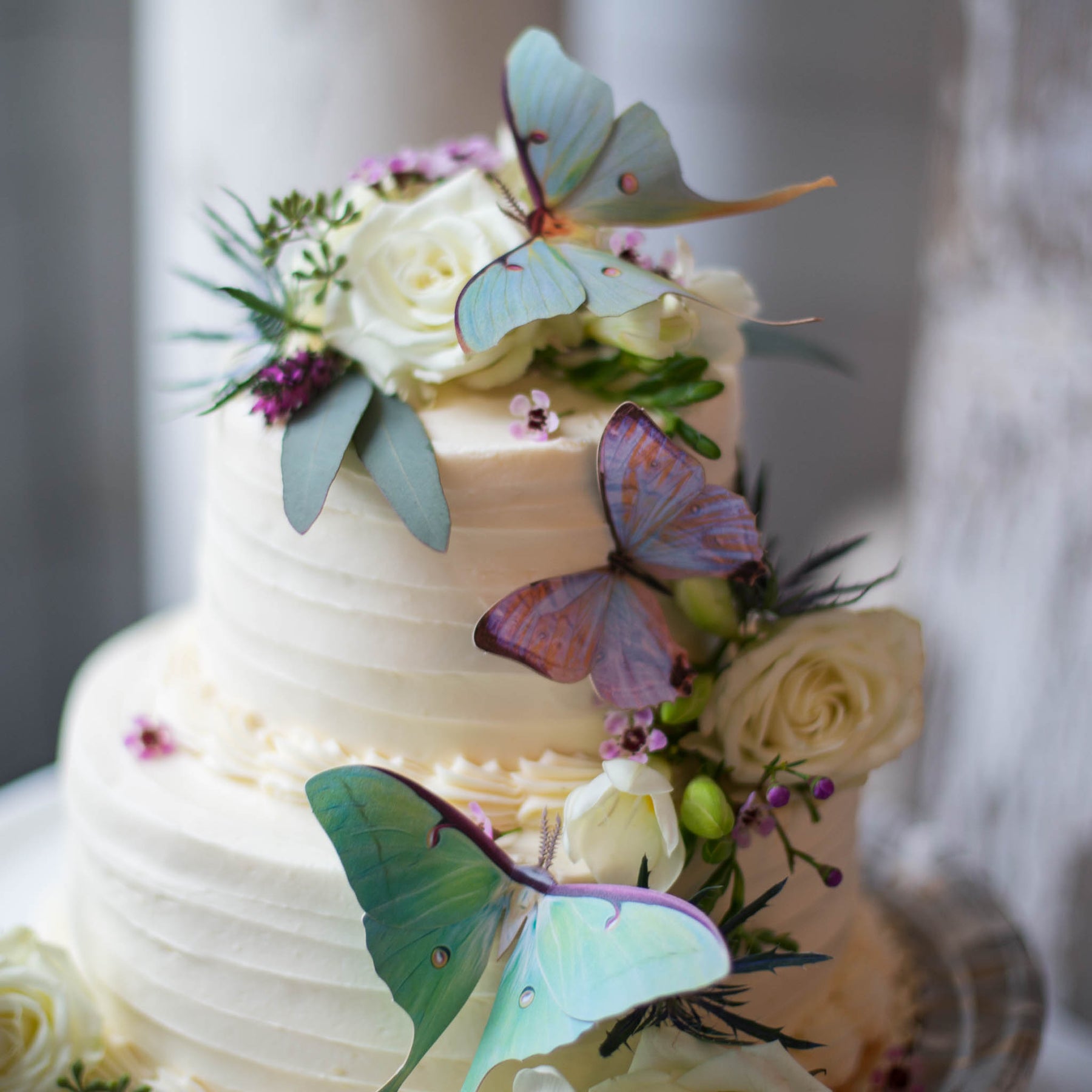 Paper Moth Bridal Style Wedding Photoshoot - Moth & Myth