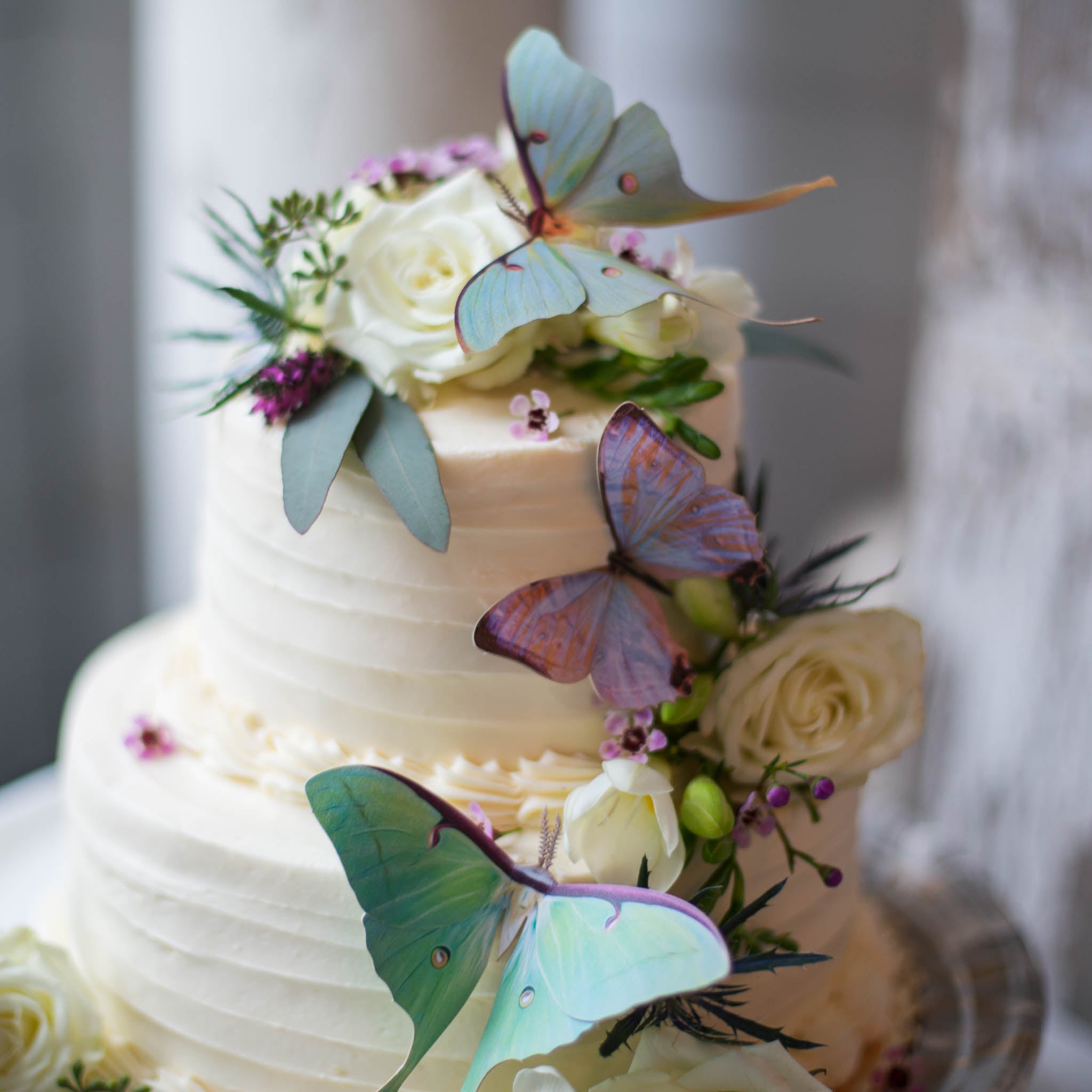 Paper Moth Bridal Style Wedding Photoshoot - Moth & Myth