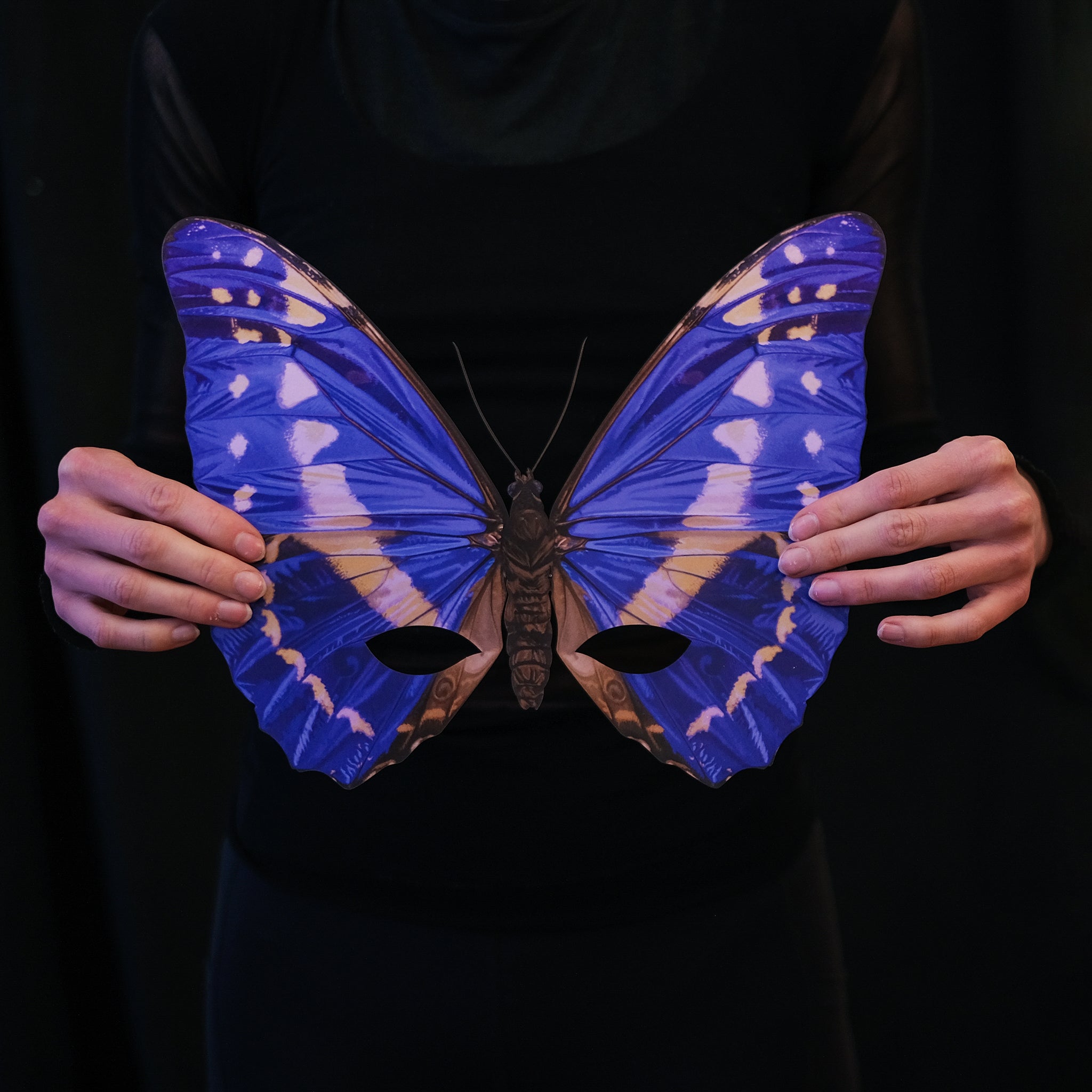 'Morpho Butterfly' Mask - Moth & Myth