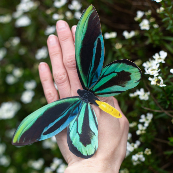 Paper Atlas Moth - Moth & Myth