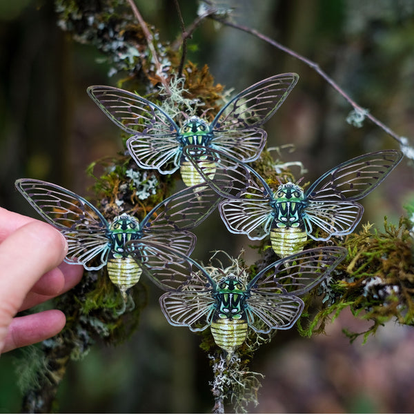Paper Ghost Cicada 3-Piece Set - Moth & Myth
