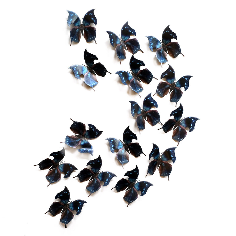 Paper White Witch Moth Multi-Pack - Moth & Myth