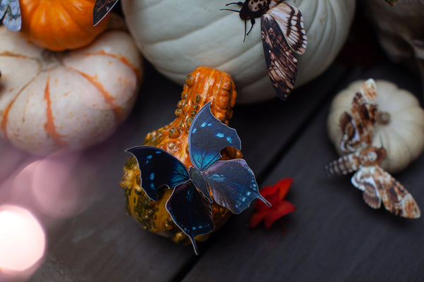 Paper White Witch Moth Multi-Pack - Moth & Myth