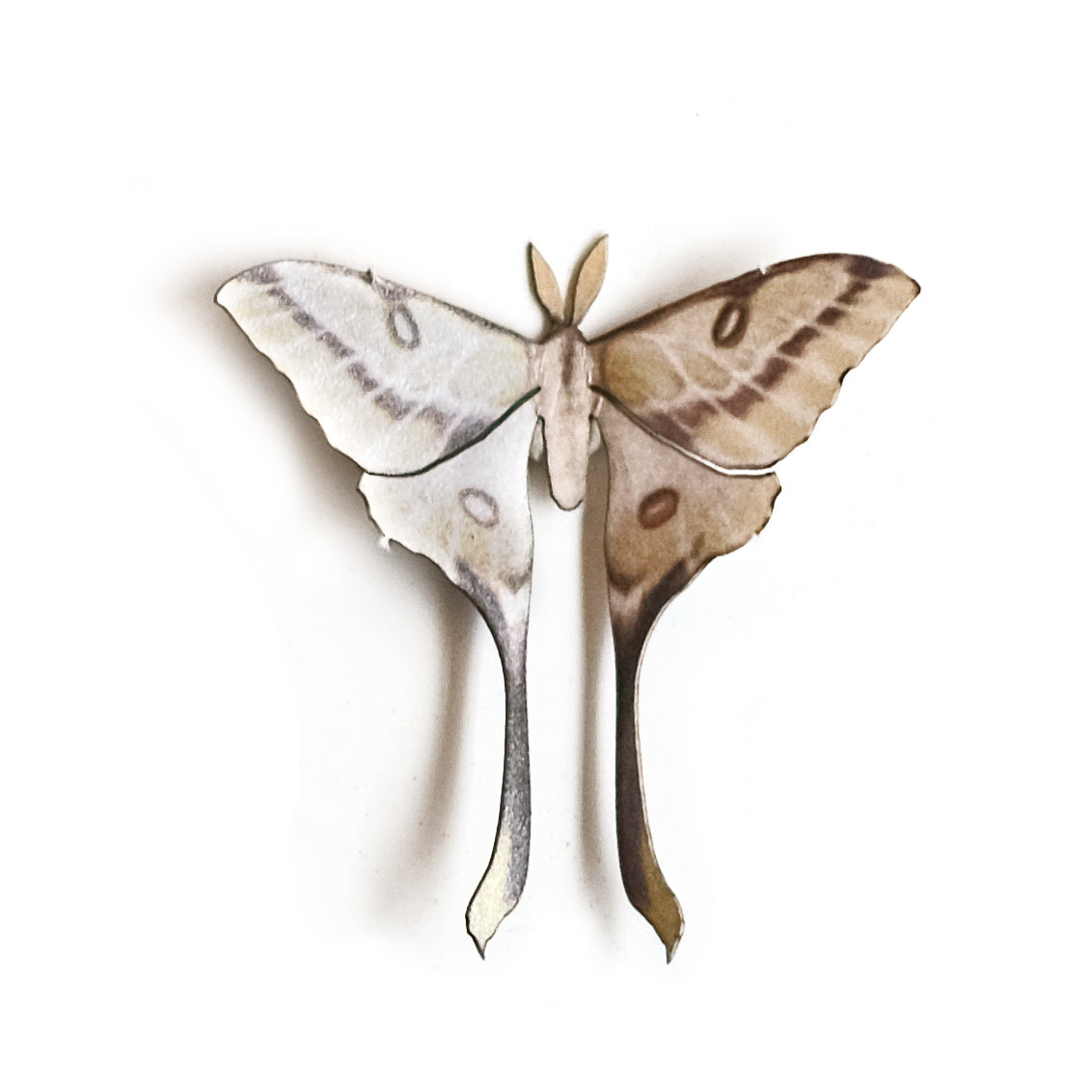 Mini Moths & Butterflies Custom - Moth & Myth