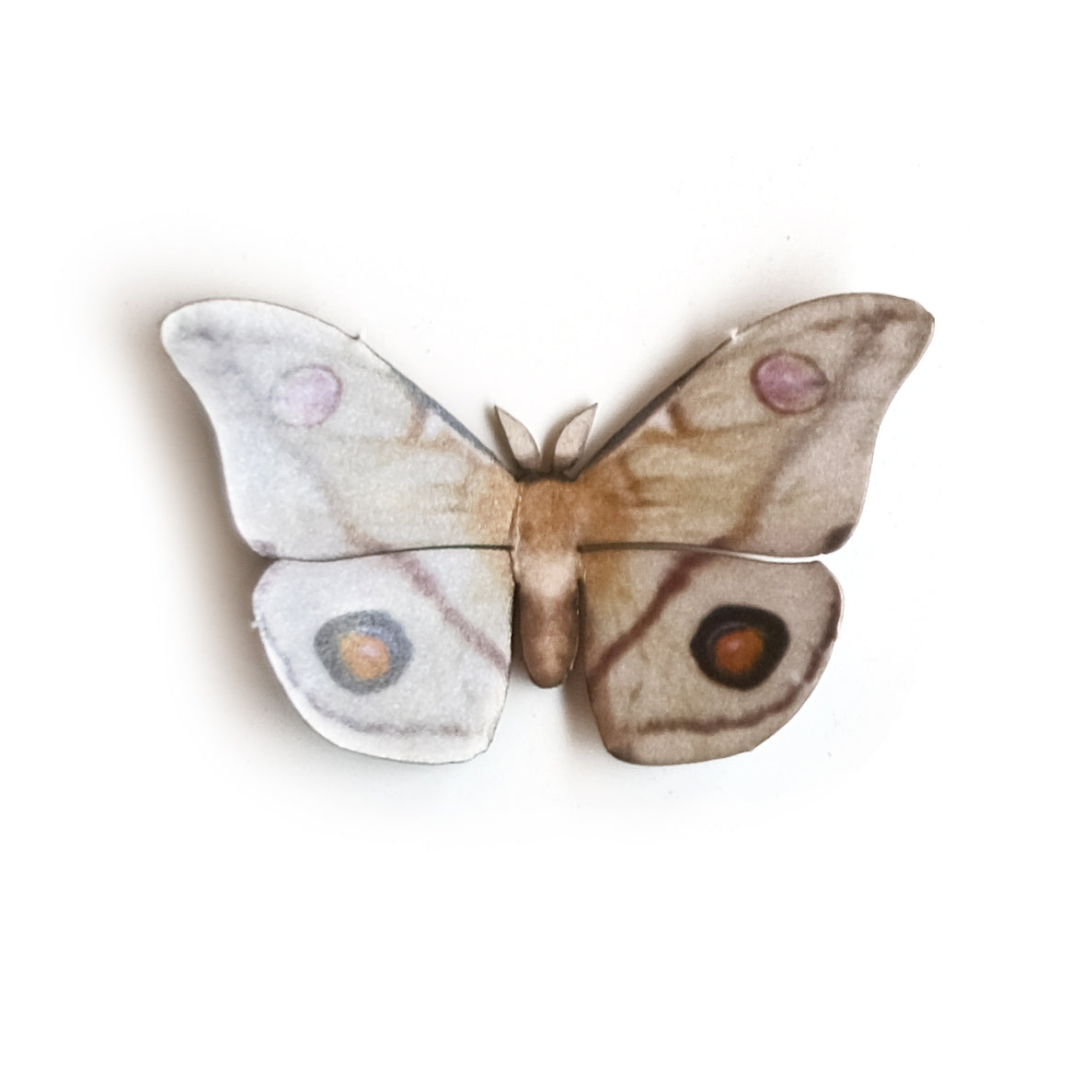 Mini Moths & Butterflies Custom - Moth & Myth