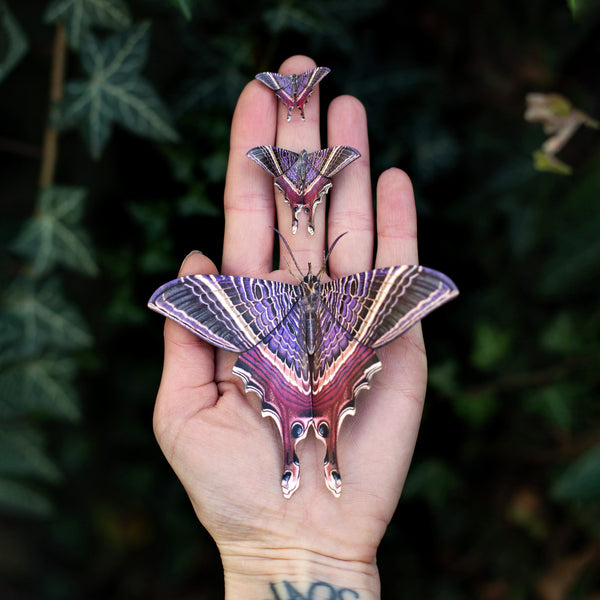 'Mini Moon Eyetail' Moth - Moth & Myth