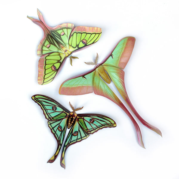 Paper Luna Moth 3-Piece Set 'Moonwake' - Moth & Myth