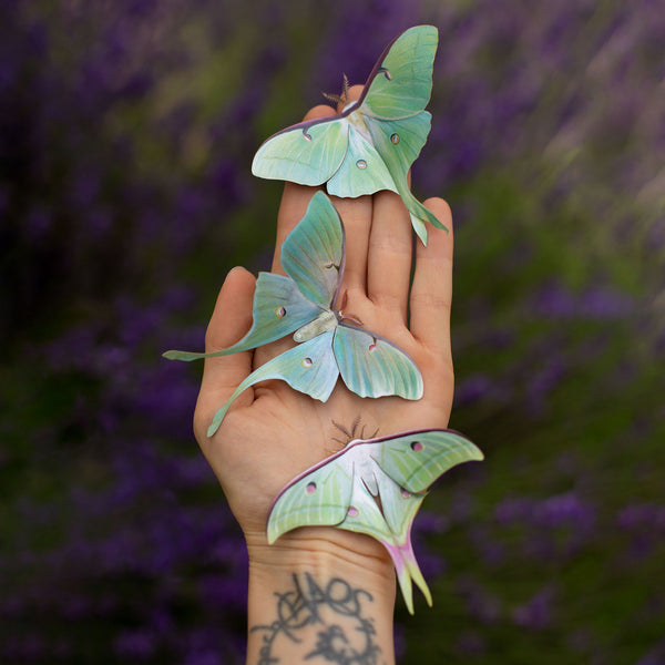Paper Luna Moth 3-Piece Set 'Moonwake' - Moth & Myth