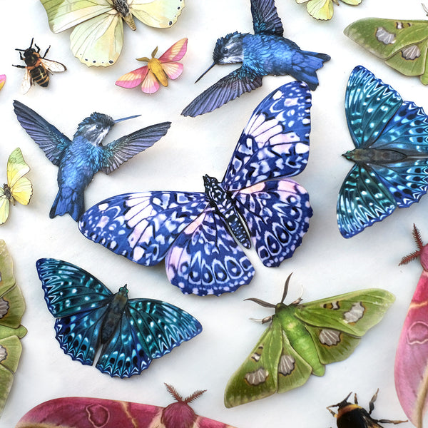 Red Cracker Butterfly Multi-Pack - Moth & Myth