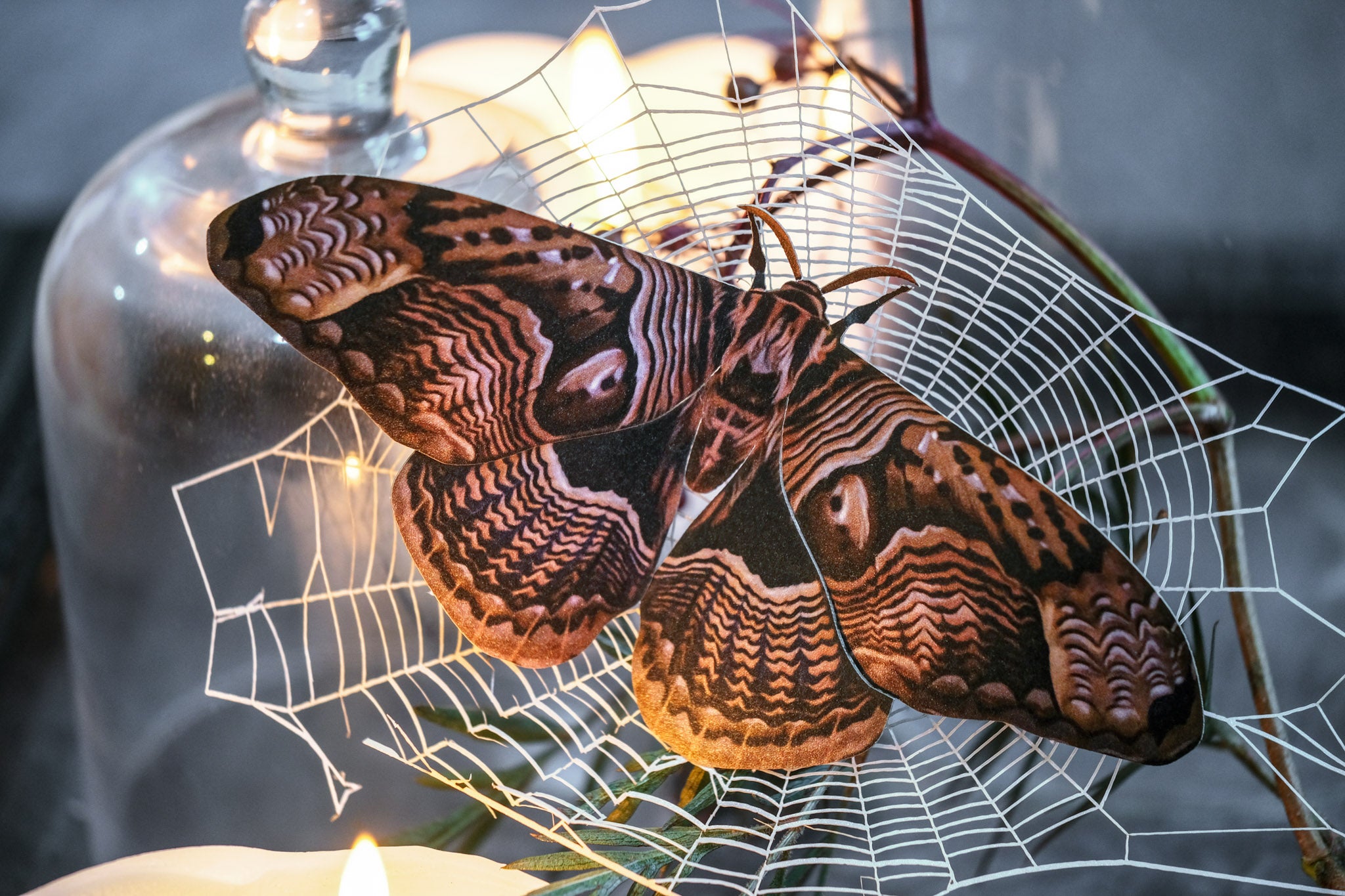 Paper Polyphemus moth - Moth & Myth