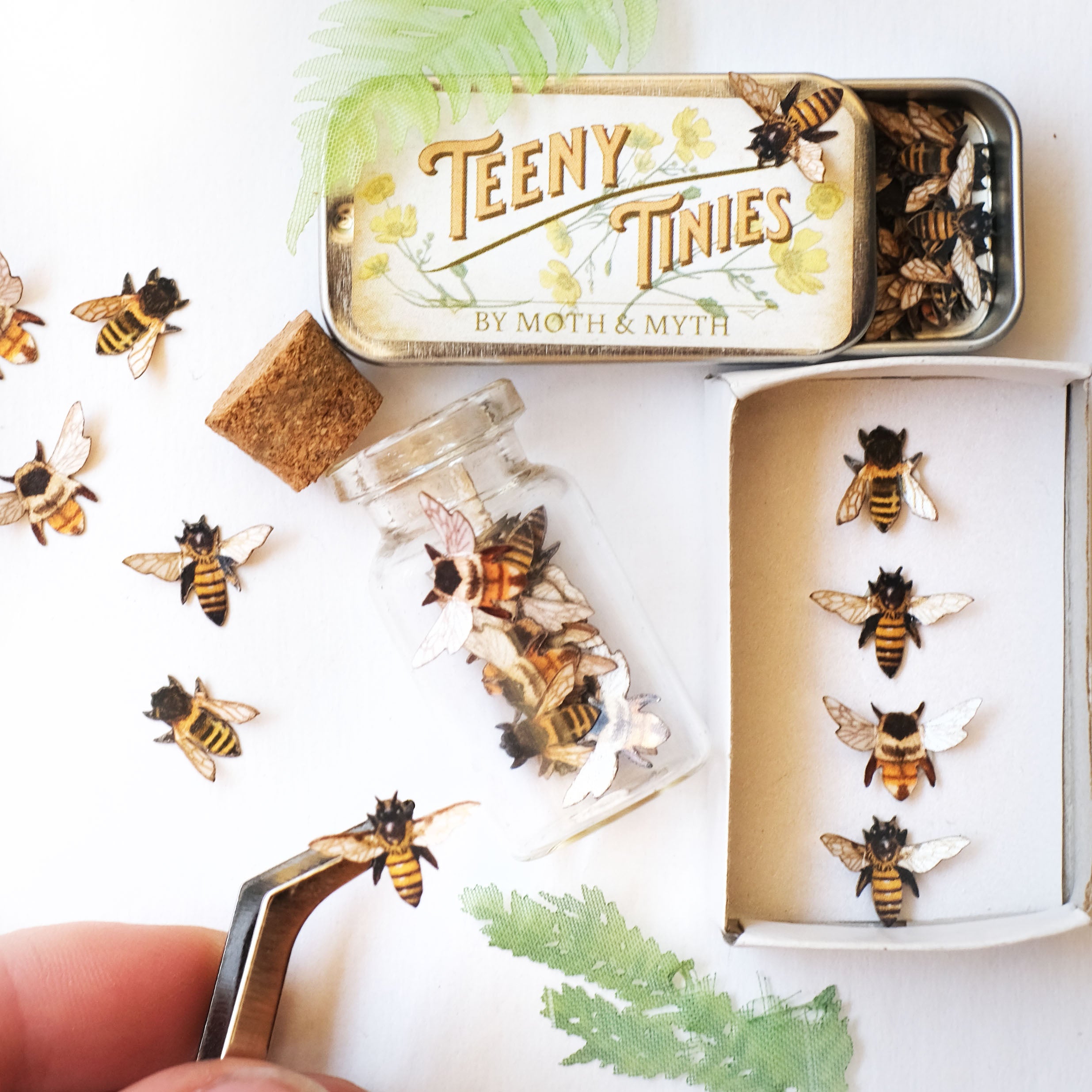 Teeny Tinies - Moth & Myth