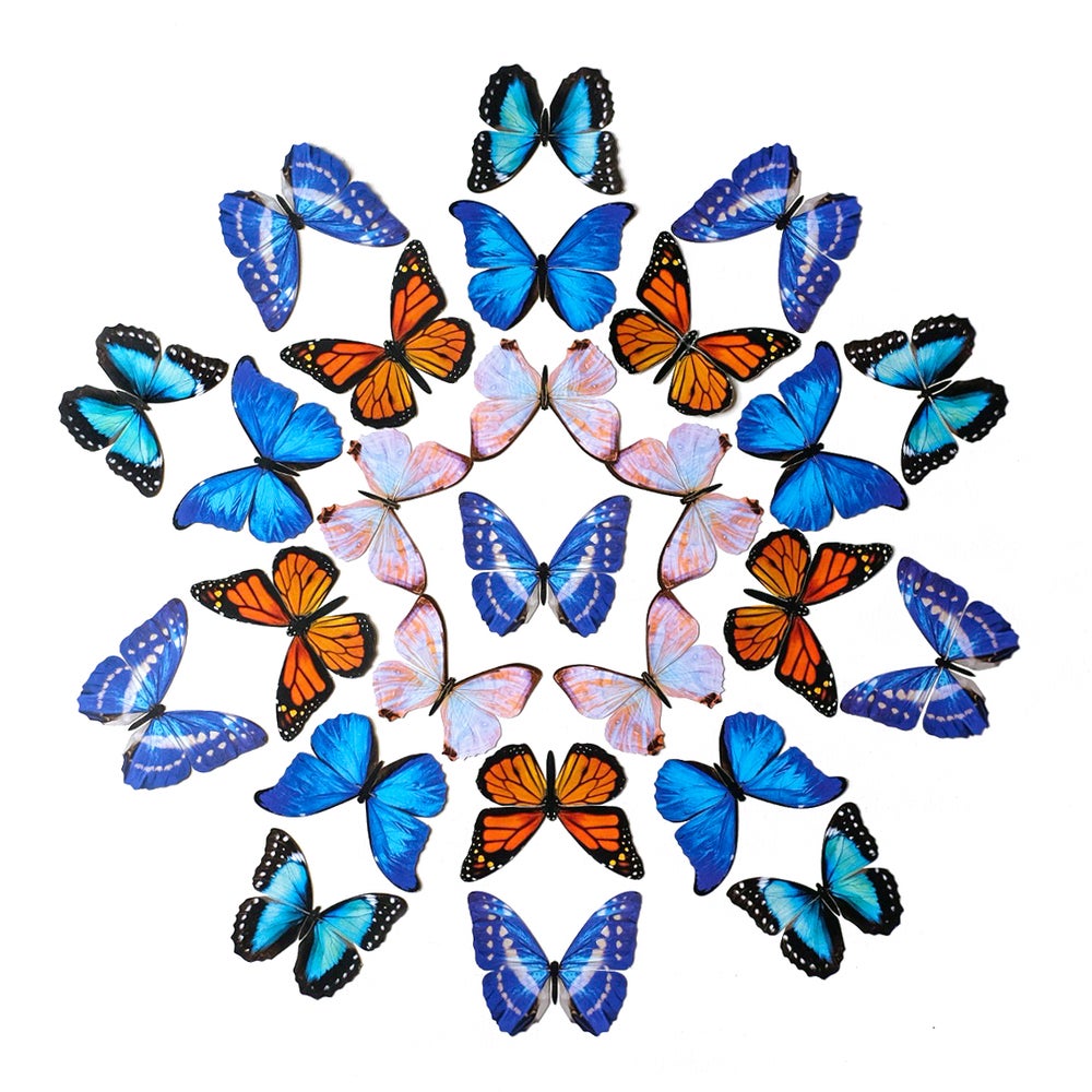 Paper Morpho & Monarch Butterfly Multi-Pack - Moth & Myth