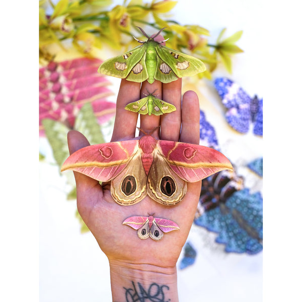 Paper Moonlight Queen Moth - Moth & Myth