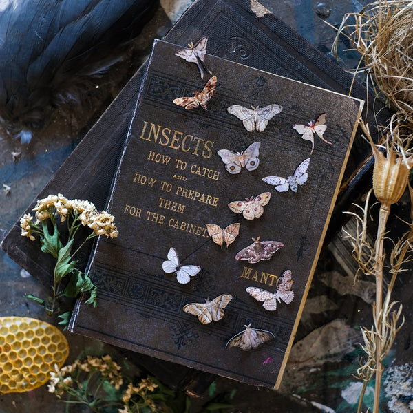 Micro Paper Butterfly & Moth Set 'Antiquarian' - Moth & Myth