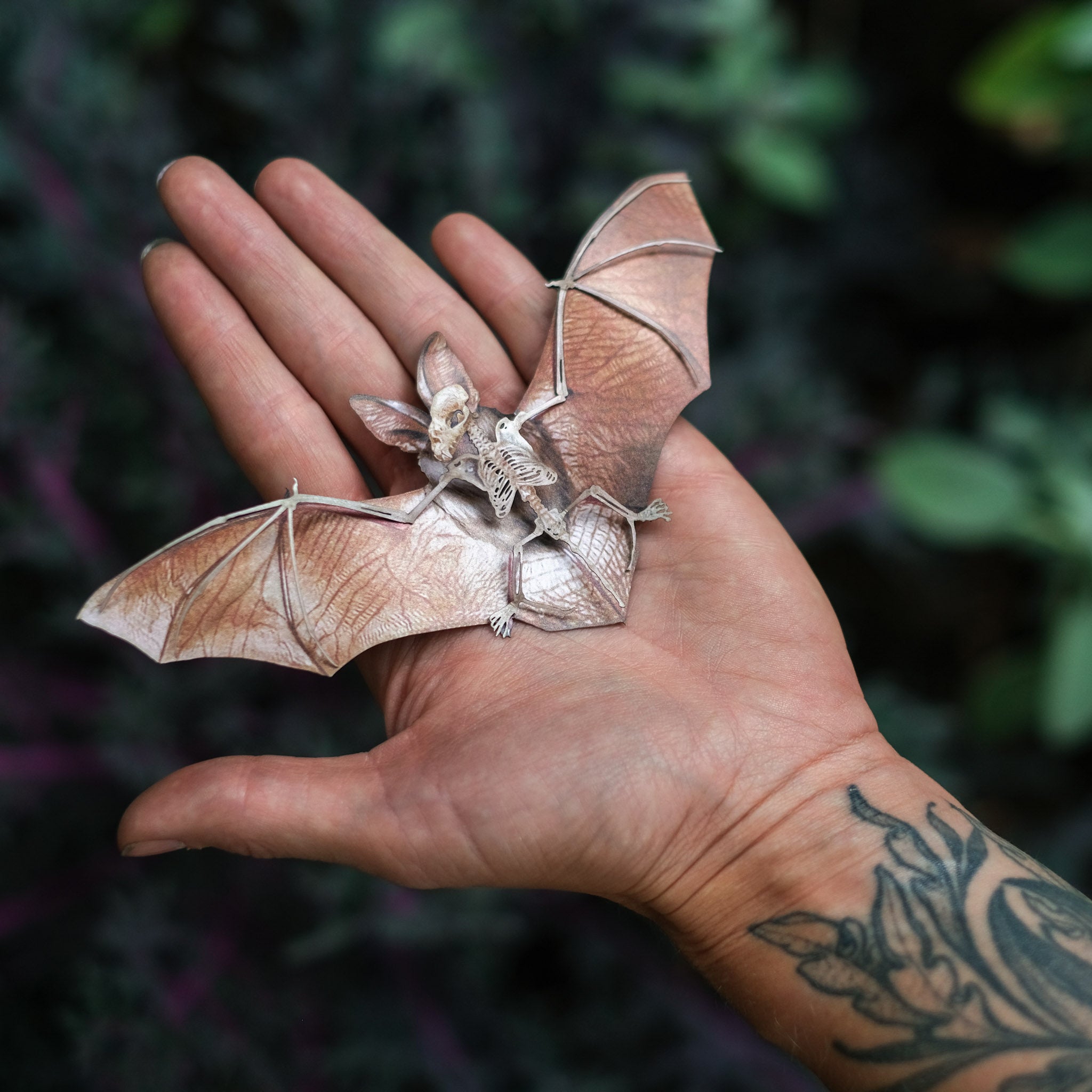 Paper Bat & Bat Skeleton Set - 'Nocturne' - Moth & Myth
