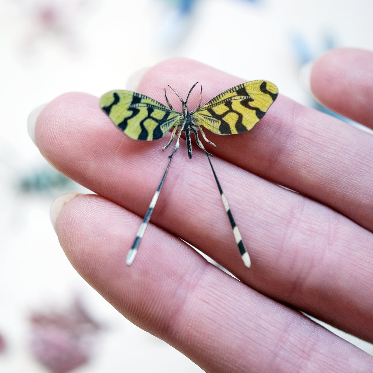 Micro Specimen Collection - 'Biophilia' - Moth & Myth