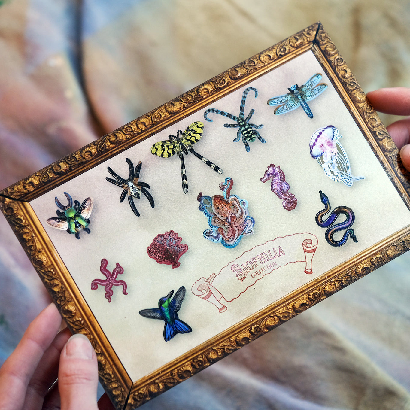 Micro Specimen Collection - 'Biophilia' - Moth & Myth