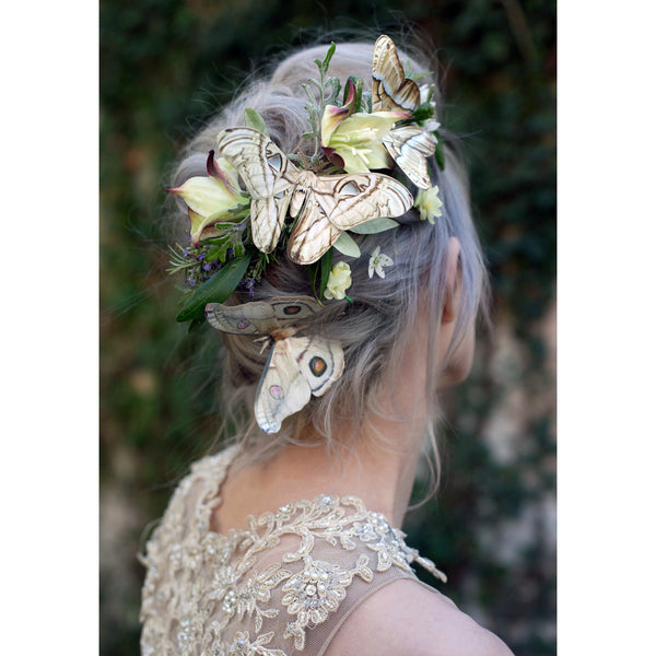 Paper Bleached Attacus Moth - Moth & Myth