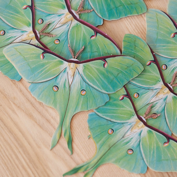Paper Luna Moth Multi-Pack - Moth & Myth
