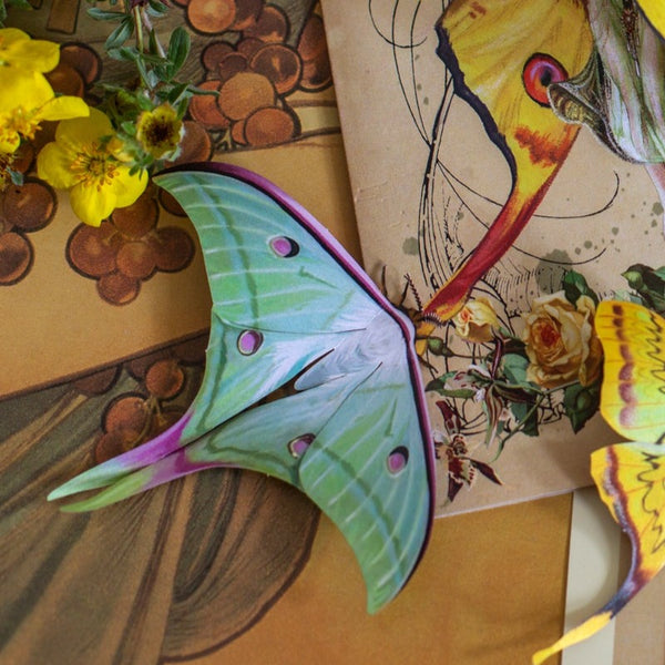 Paper Indian Moon Moth - Moth & Myth