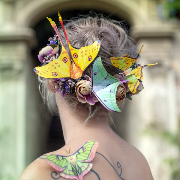 Paper Madagascan Comet Moth - Moth & Myth