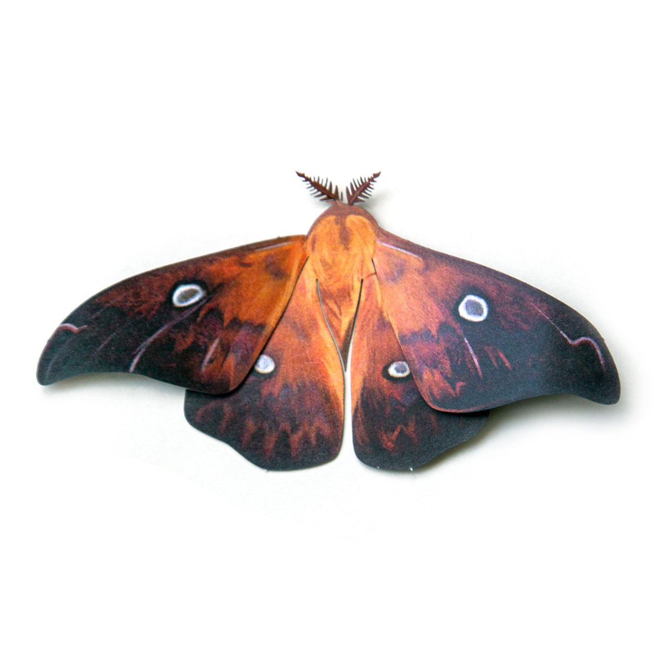 Paper Firey Moth - Moth & Myth