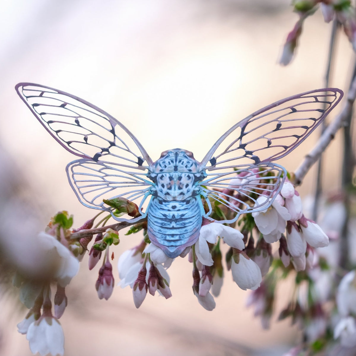 Paper Ghost Cicada 3-Piece Set - Moth & Myth