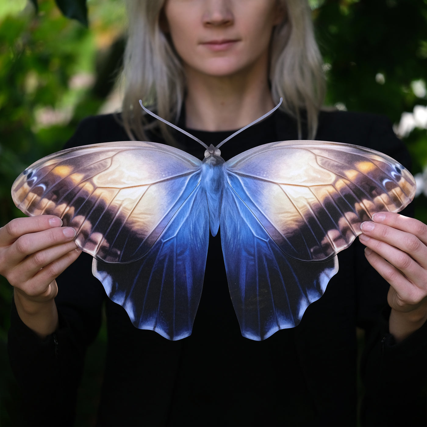 All Moths & Butterflies Page 3 - Moth & Myth