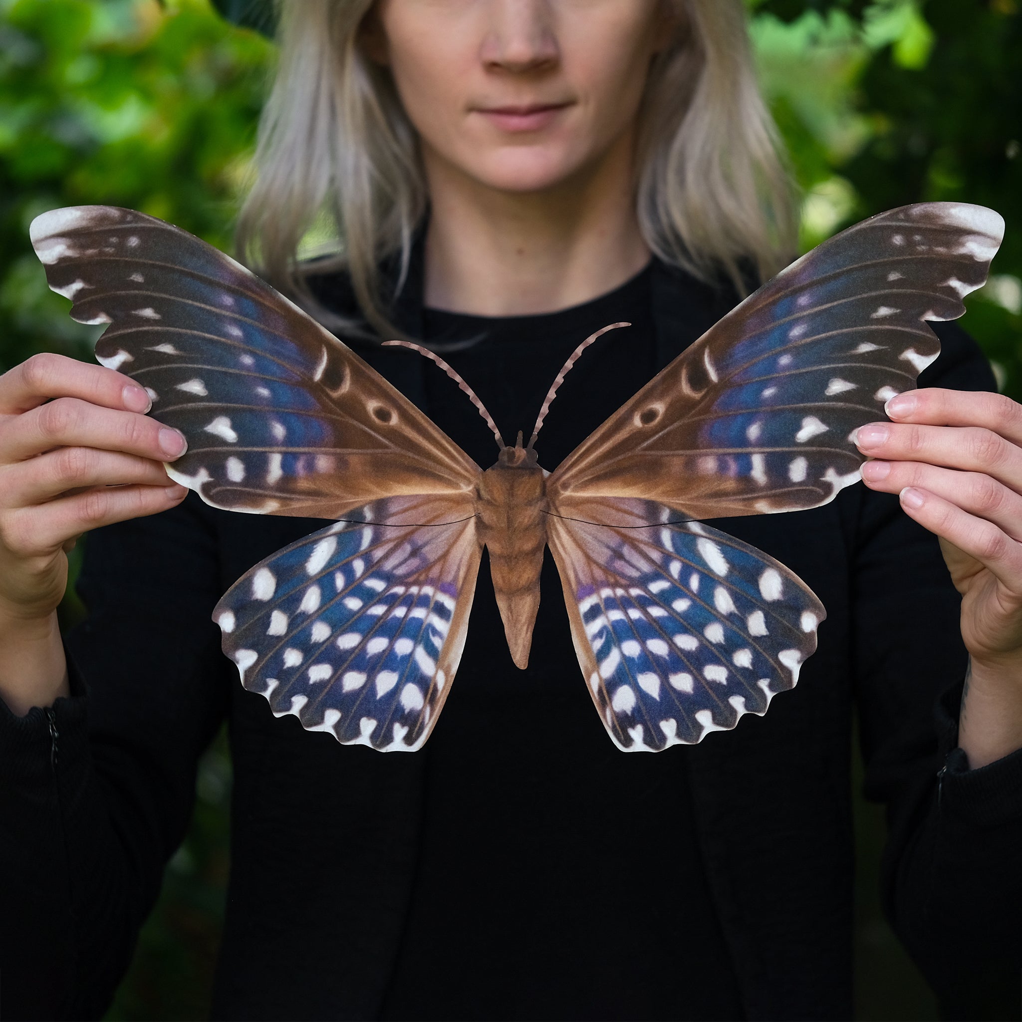 'Giant White Witch' Moth - Moth & Myth