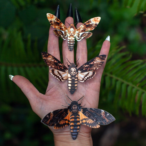 Paper Moth 3-Piece Set 'Memento Mori' - Moth & Myth