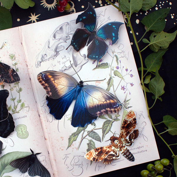 💫Halloween Collection💫 'Hatchet' Butterfly Set (Hemlock) - Moth & Myth