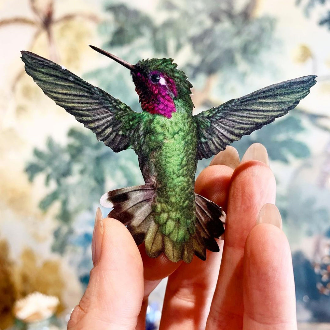 Flash Sale Hummingbird 3-Pack - Moth & Myth