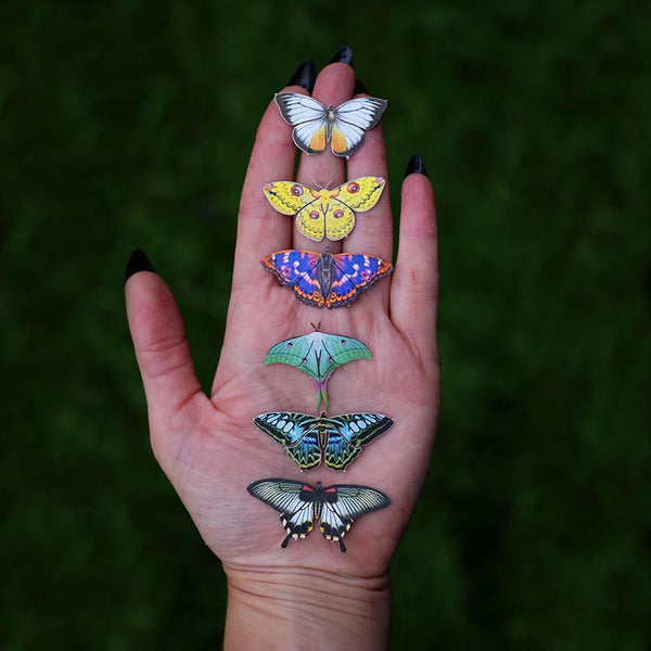 'Mini Lesser Purple Emperor' Butterfly - Moth & Myth
