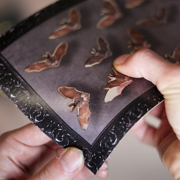 Micro Bat Set - Moth & Myth