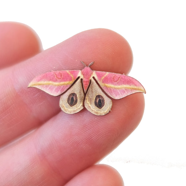 'Micro Dognin's Pink Bullseye' Moth - Moth & Myth