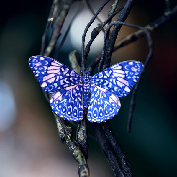 'Mini Red Cracker' Butterfly - Moth & Myth