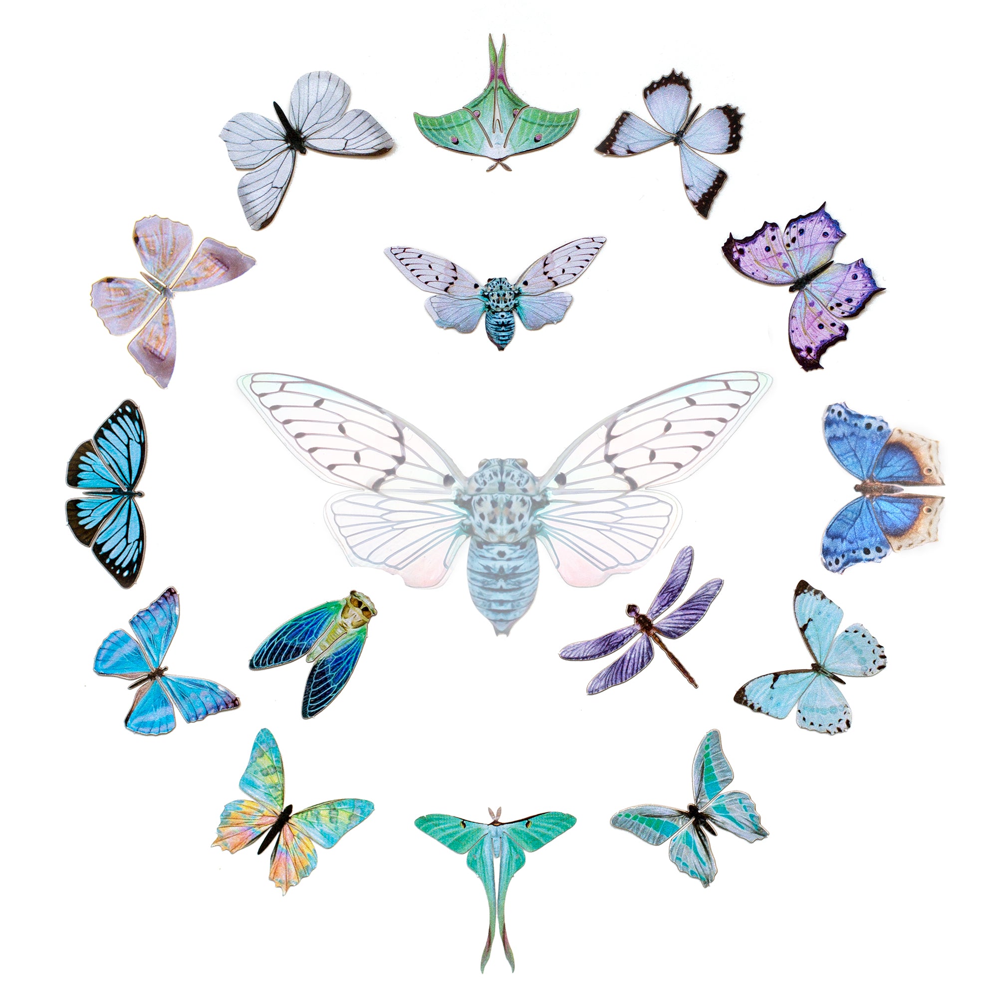 All Moths & Butterflies - Moth & Myth