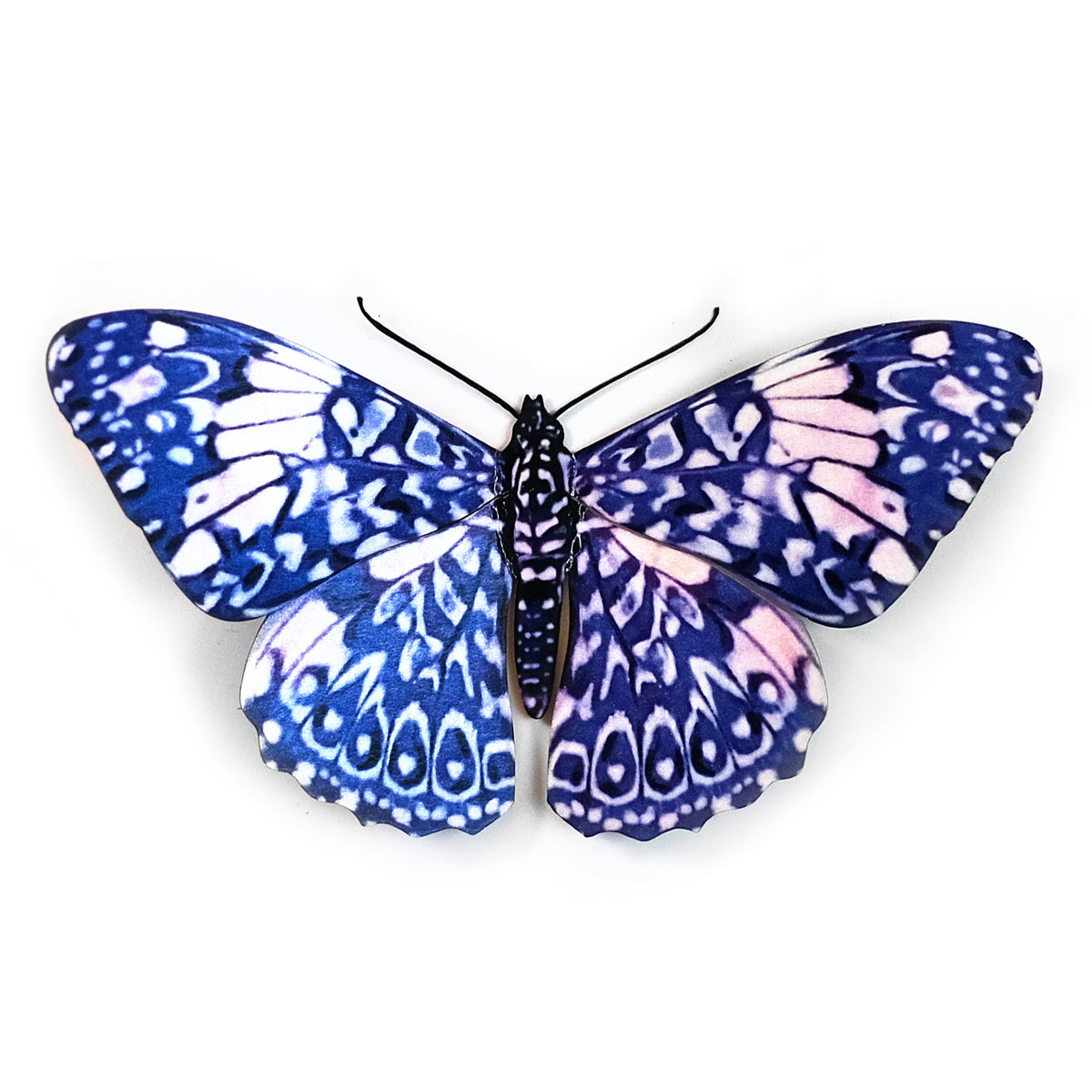 Paper Red Cracker Butterfly - Moth & Myth