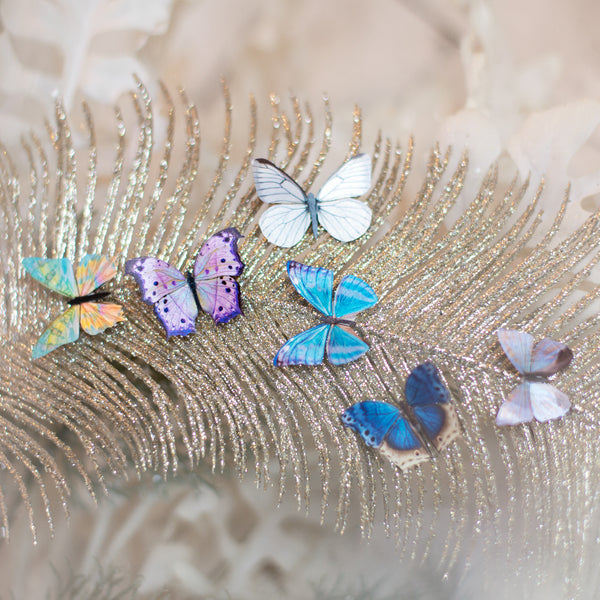 'Mini Zephyritis Morpho' Butterfly - Moth & Myth