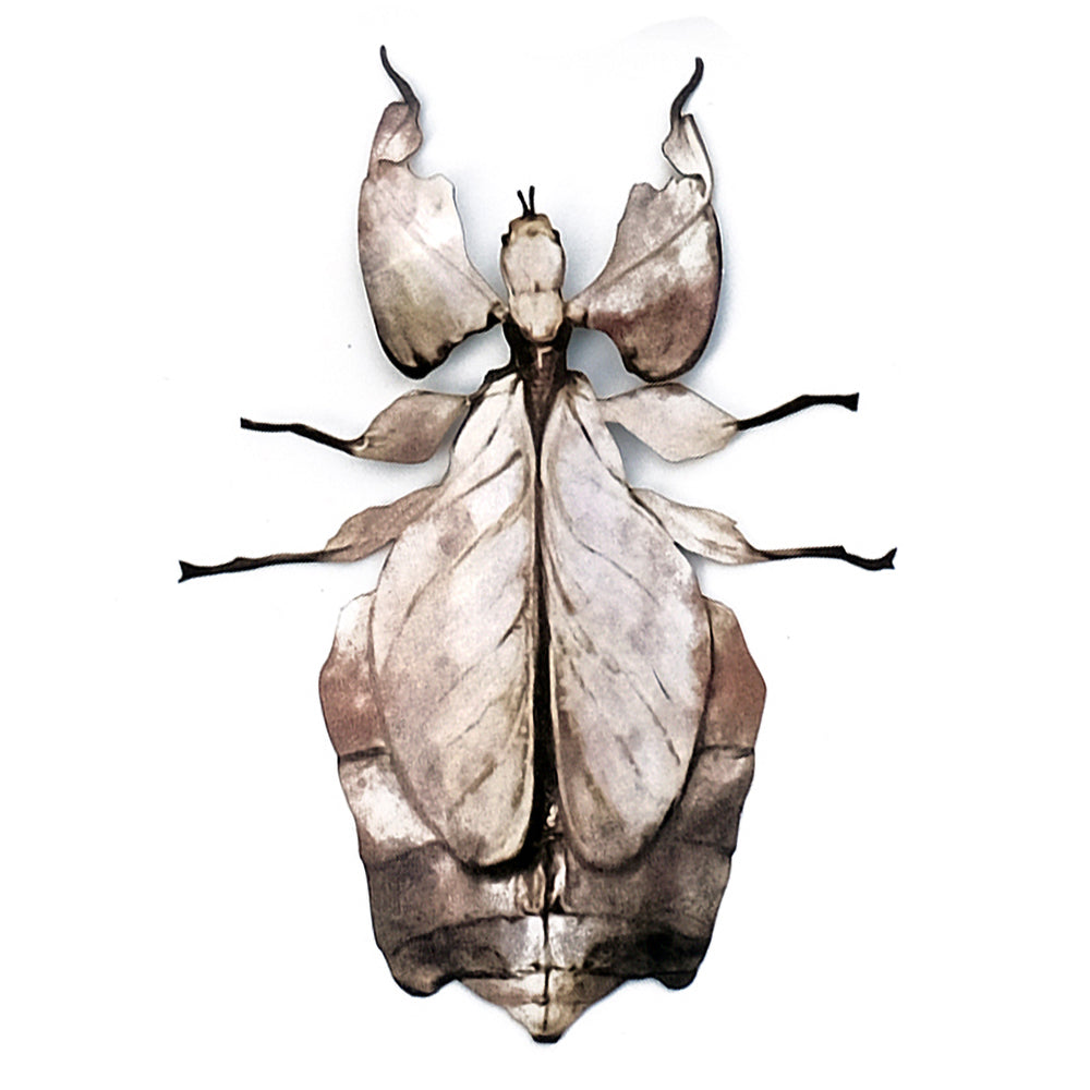 All Moths & Butterflies Page 3 - Moth & Myth