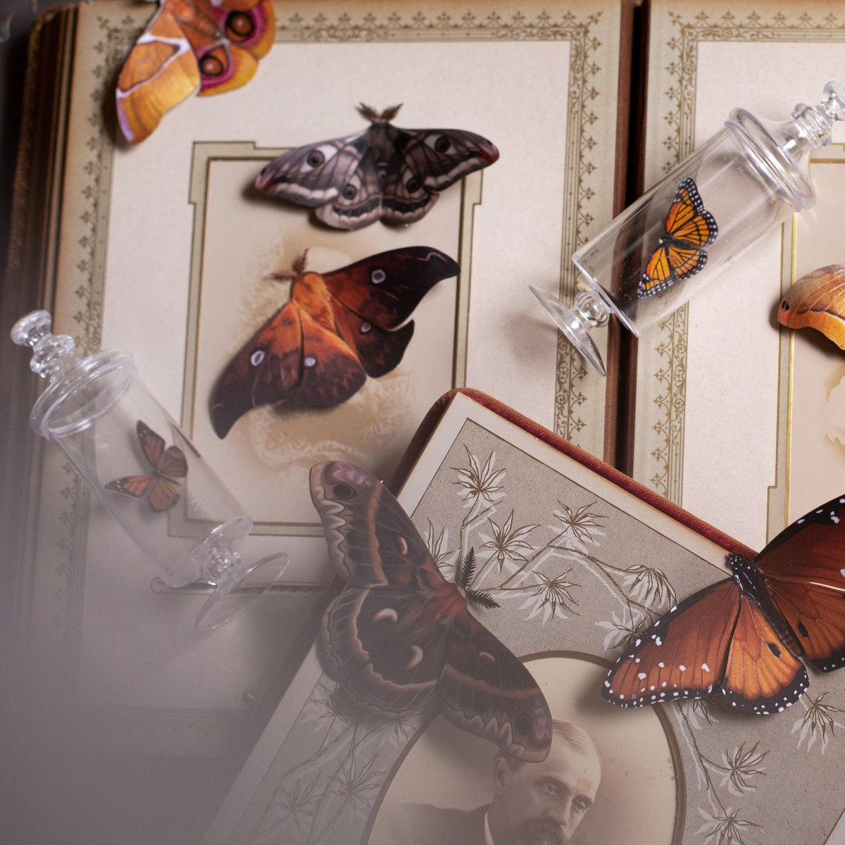 Paper Firey Moth - Moth & Myth