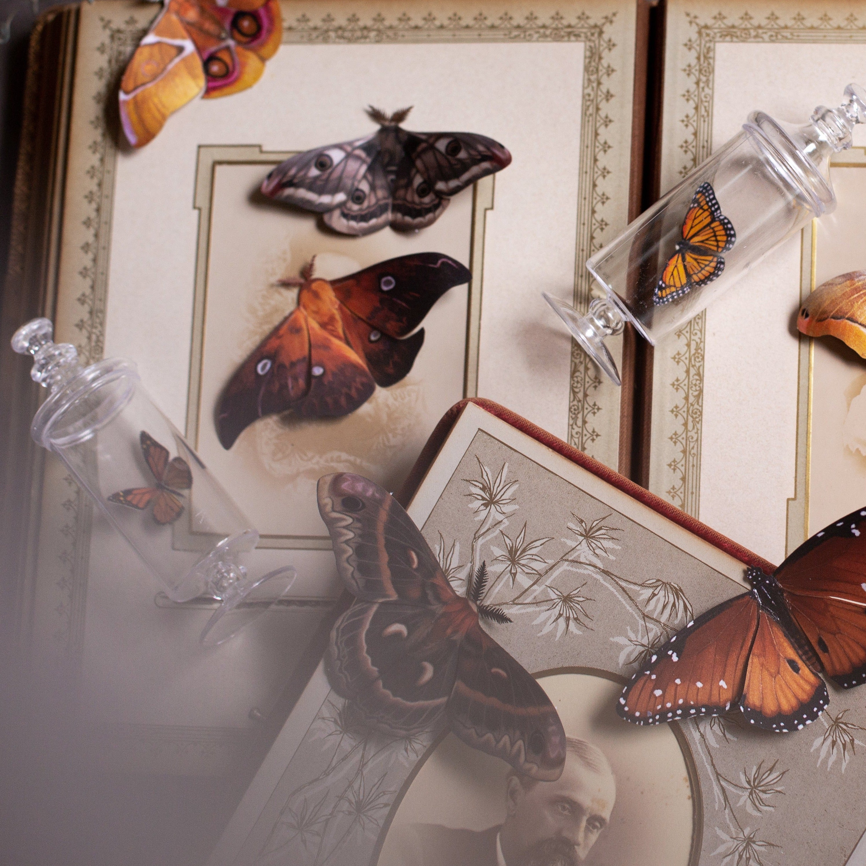 Paper Firey Moth - Moth & Myth
